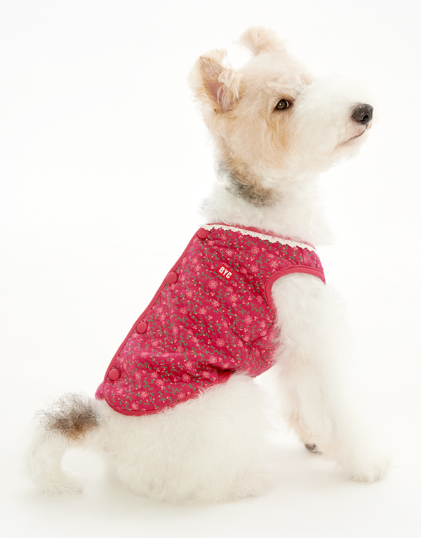 이슈/유머 - BYC 반려동물 옷 FW 신상 김장조끼.jpg