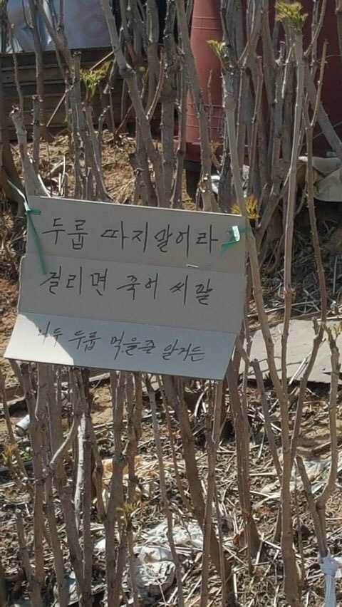 이슈/유머 - 대체 언제쯤 안 웃길까 궁금한 짤 몇개