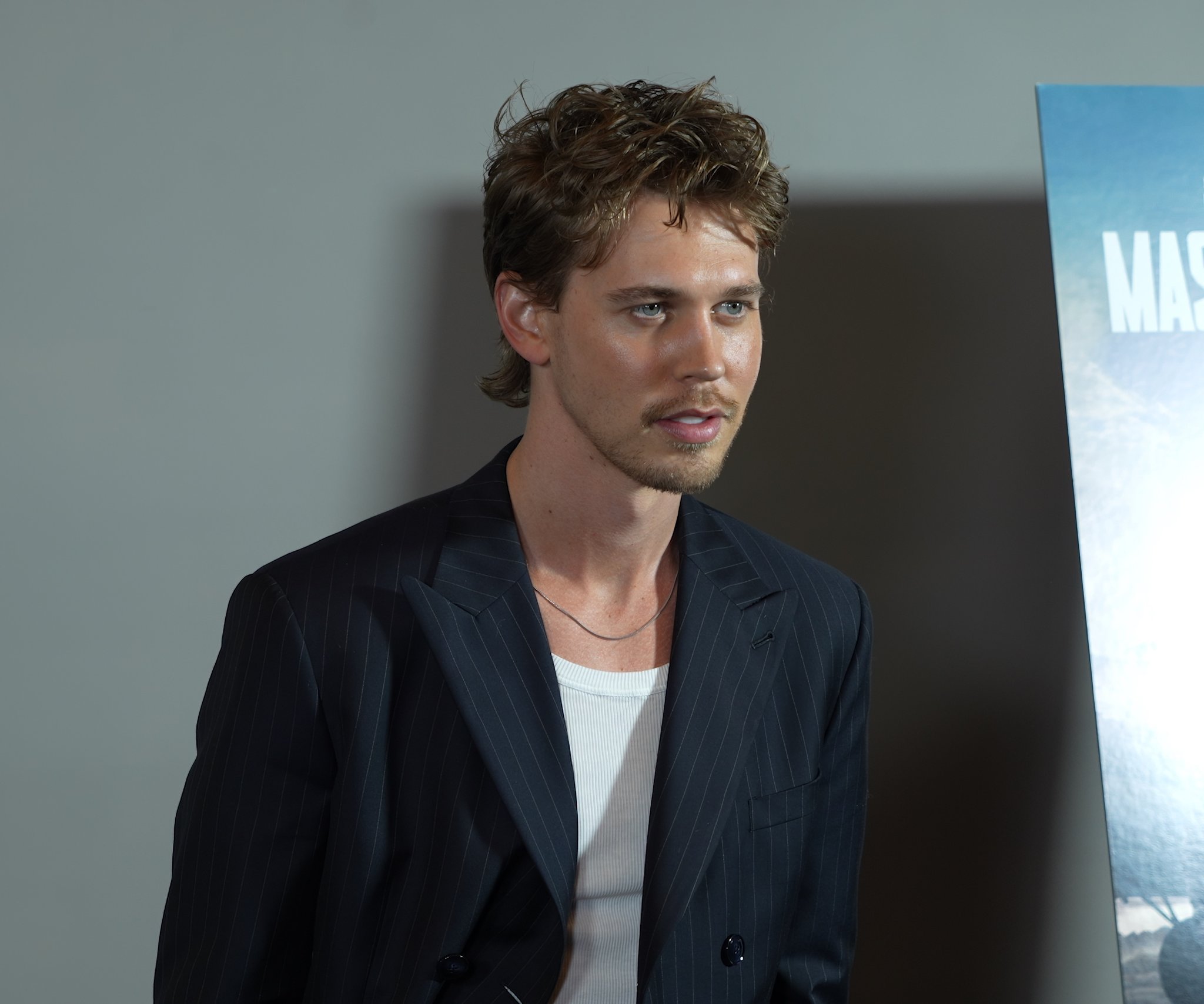 헐리우드 - 나의 늑트리버..