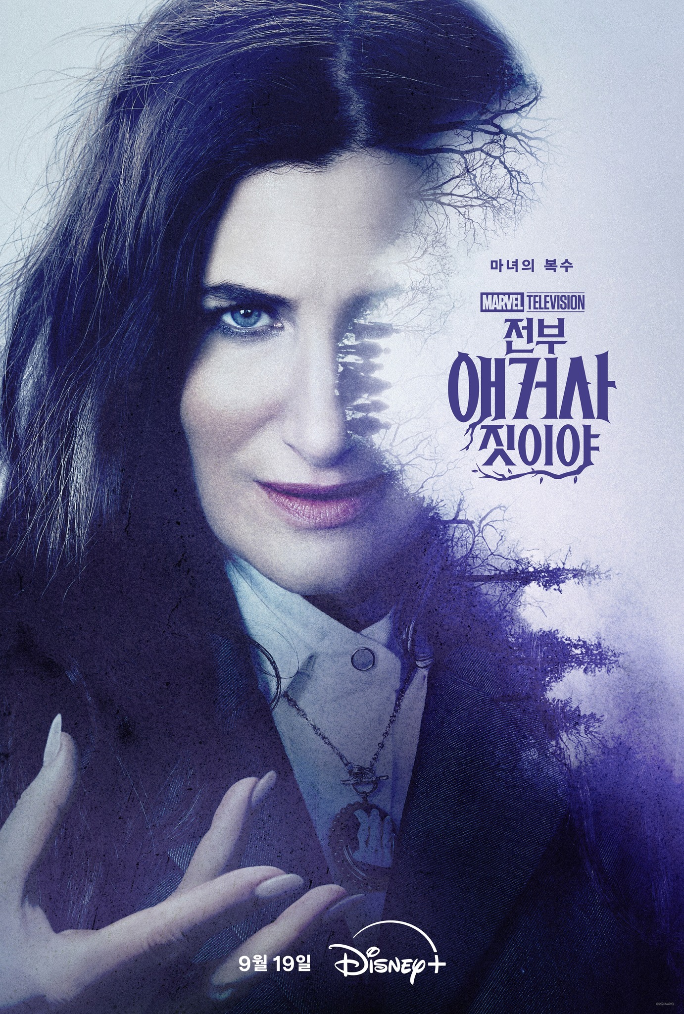 해외드라마 - 디즈니 플러스, 마블 티저 예고편 | '애거사 하크니스'의 새로운 여정🪄🔮