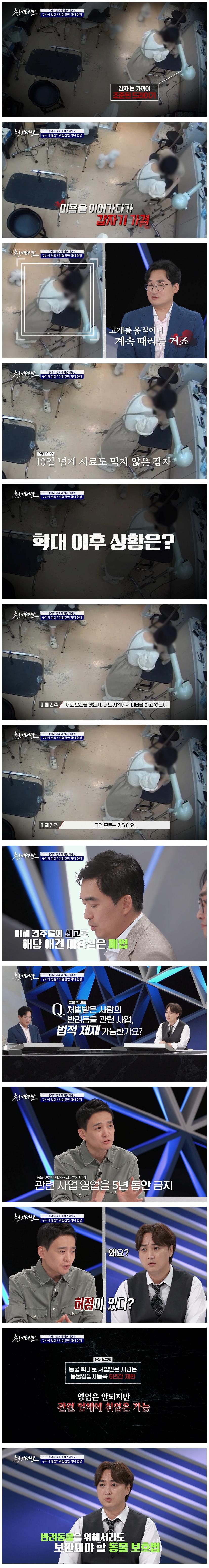 이슈/유머 - 강아지들 구타하고 학대해서 난리난 애견미용실 CCTV