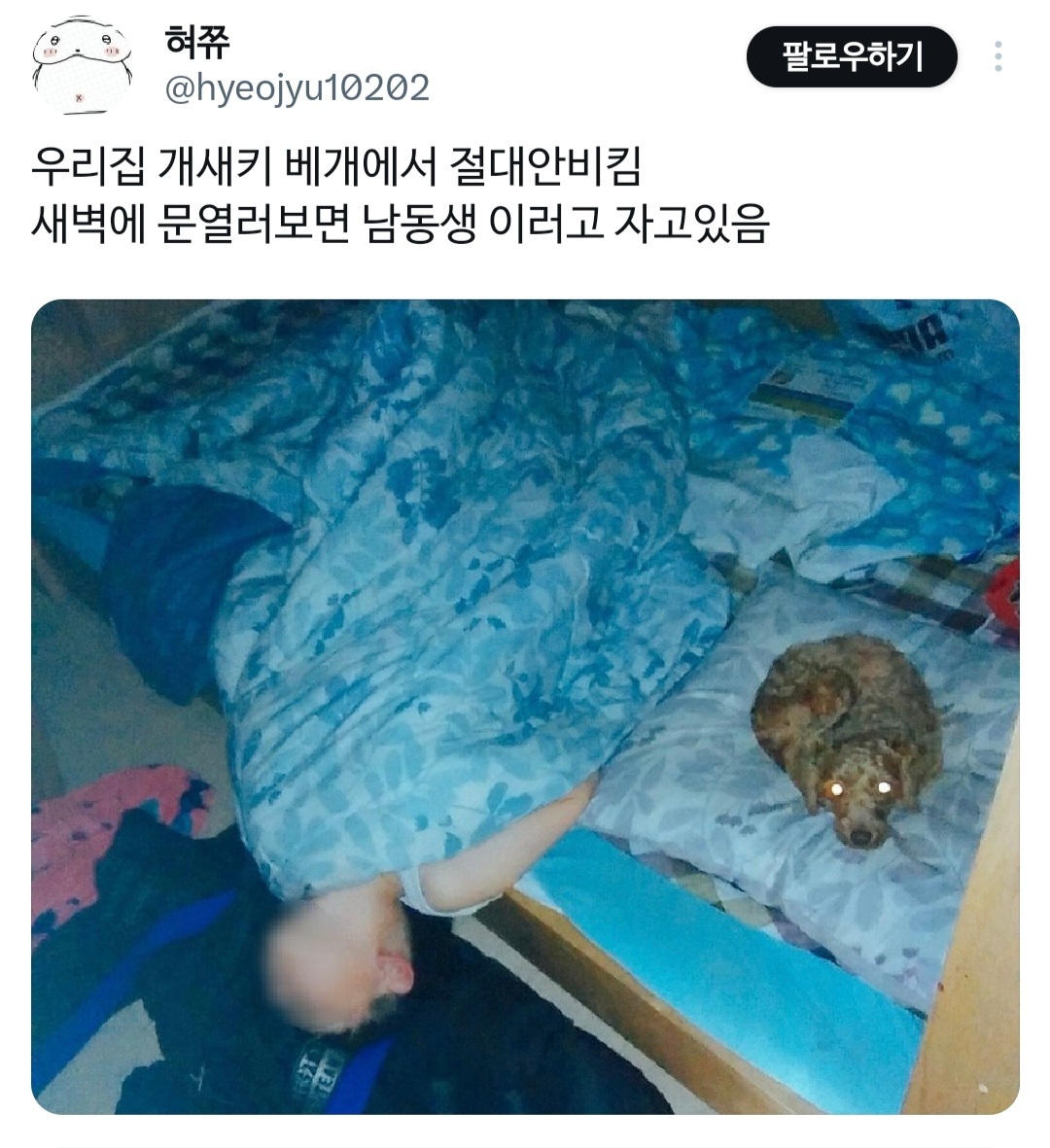 이슈/유머 - 새벽에 문열어보면 남동생 이러고 자고있음.twt